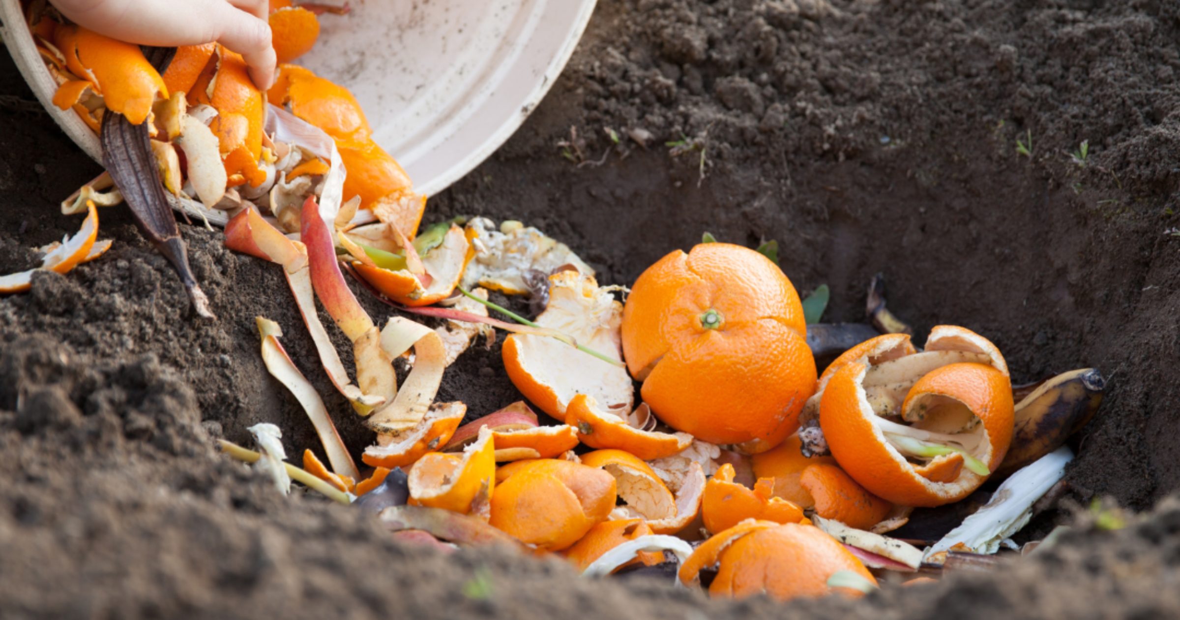 Composting as Food and Climate Action | Glasgow Community Food Network