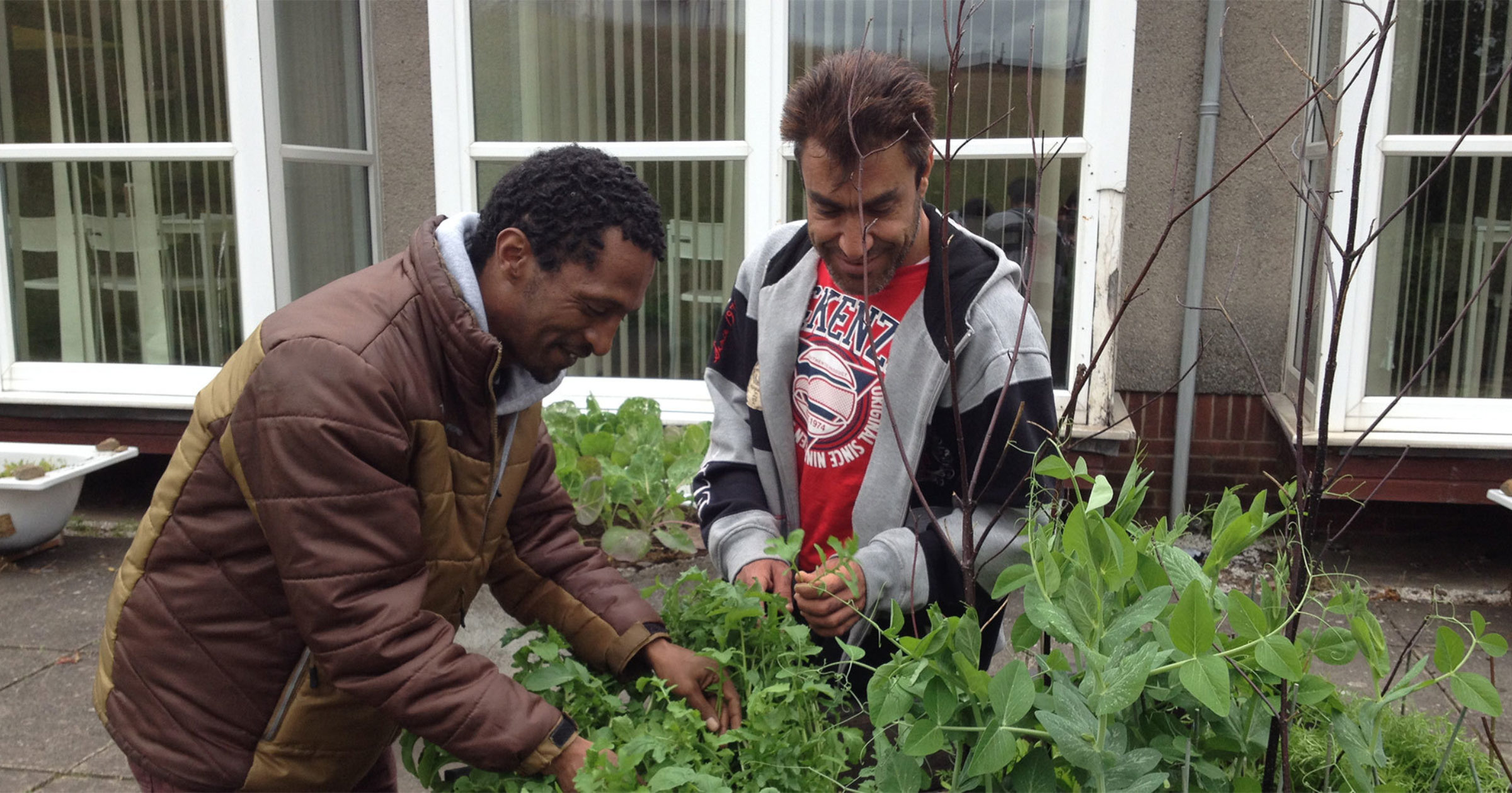 Support for community food projects | Glasgow Community Food Network