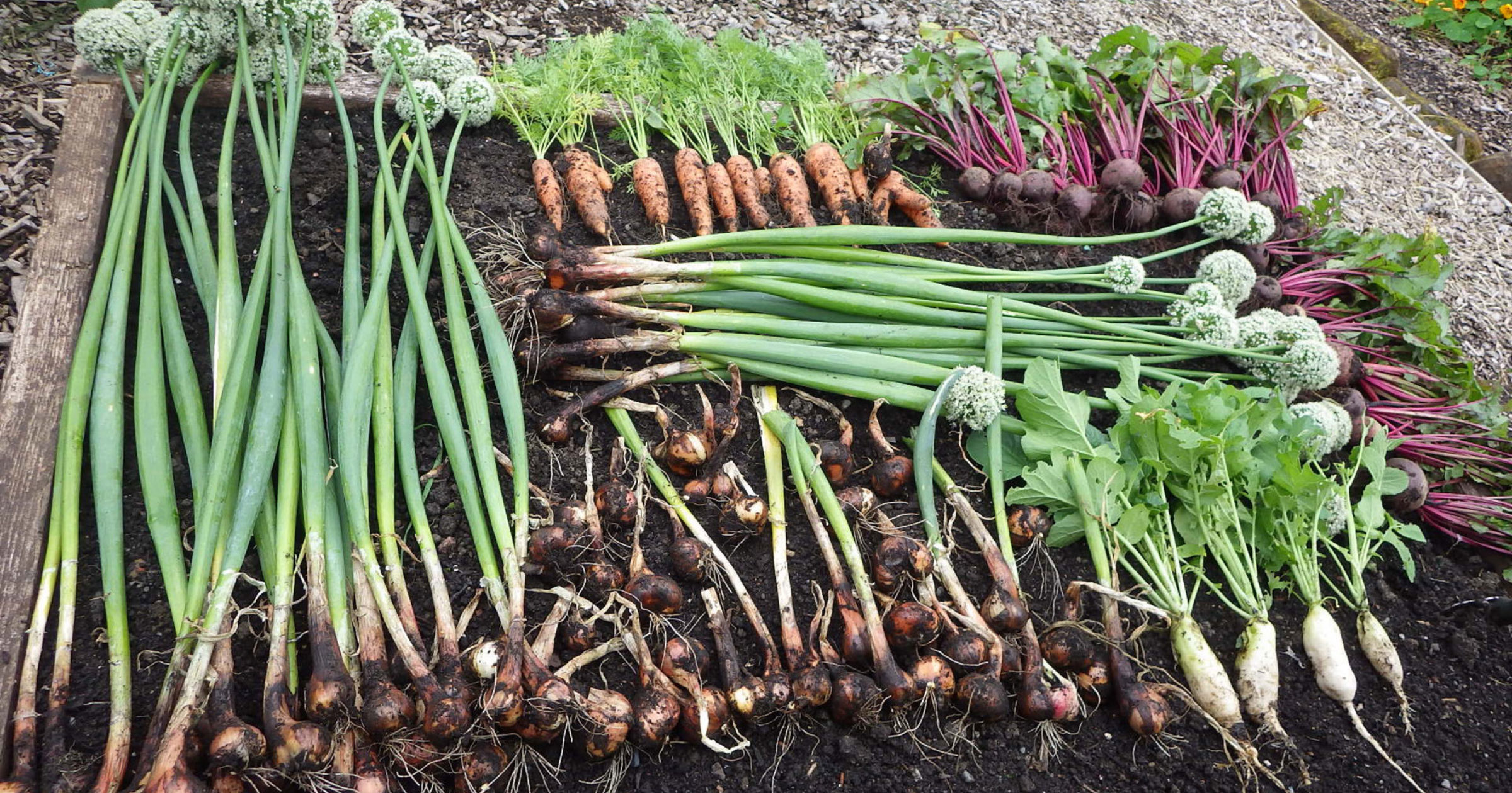 Growing Things | Glasgow Community Food Network