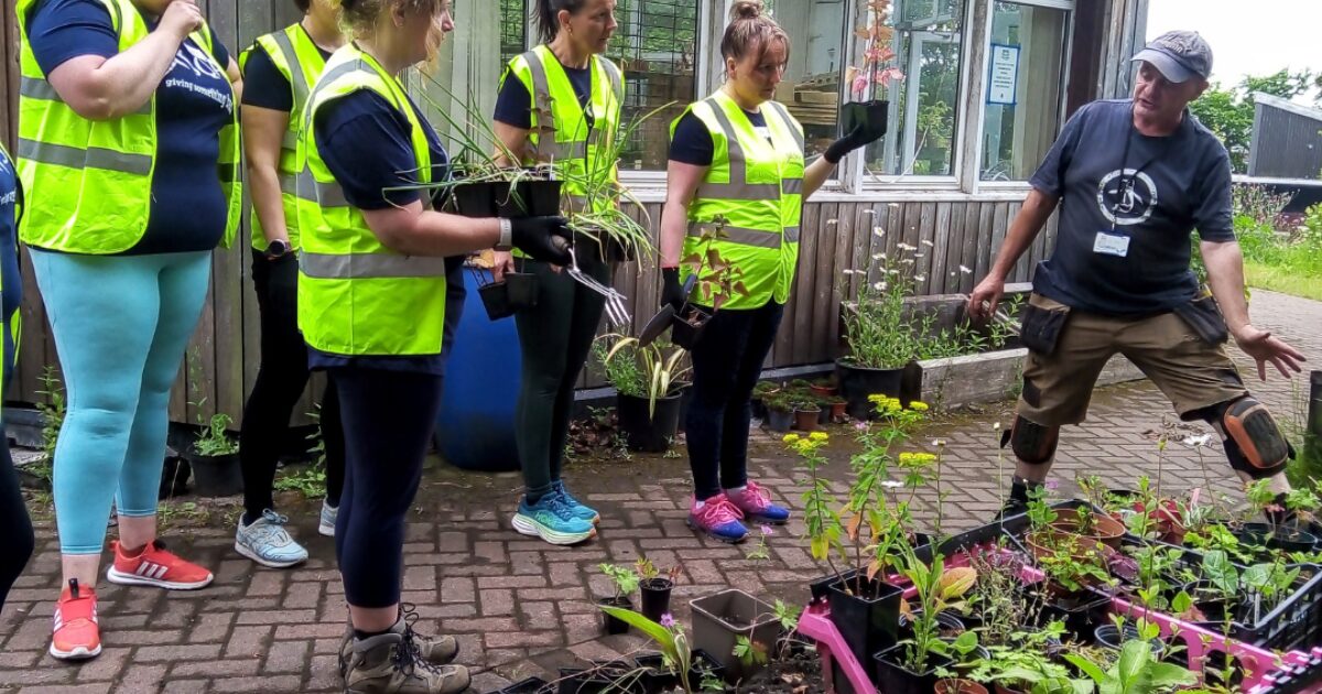 Art in the Gart | Glasgow Community Food Network (en-GB)