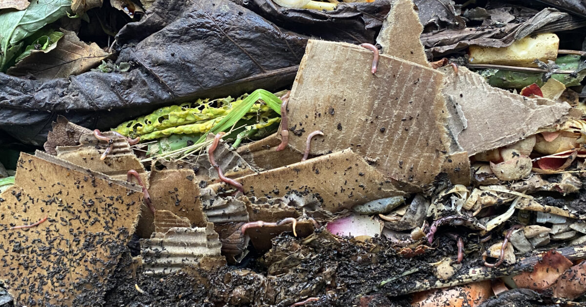 Decompose the Corporate Food Regime | Glasgow Community Food Network ...